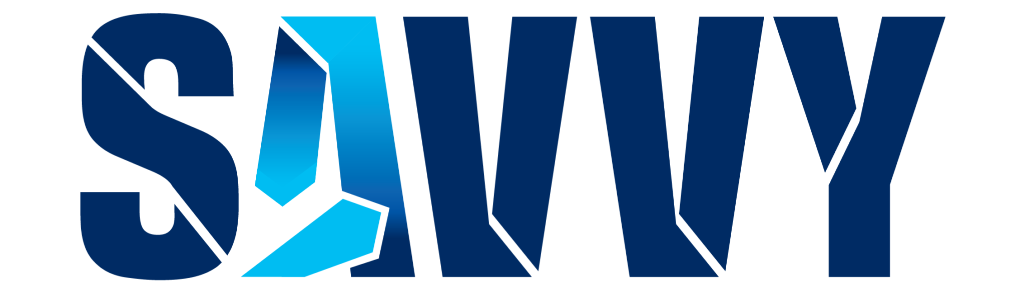 SAVVY Seniors 60+ | The SAVVY Community